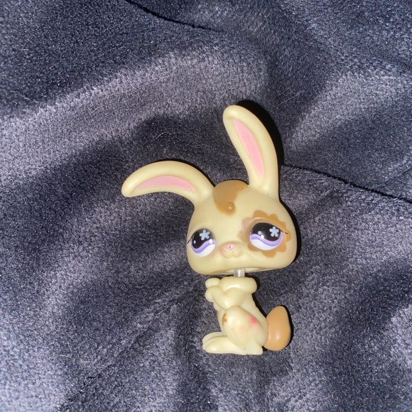Toys | Littlest Pet Shop Bunny 582 | Poshmark